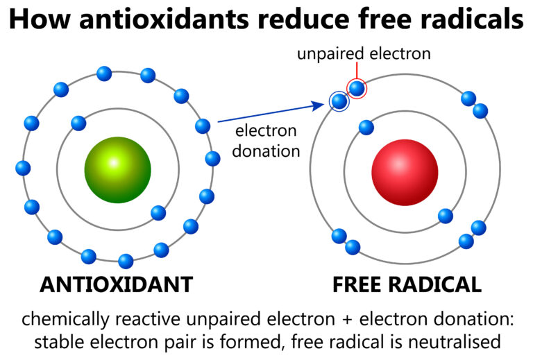 What Are Antioxidants in Skincare? Benefits, Ingredients & Formulation Tips