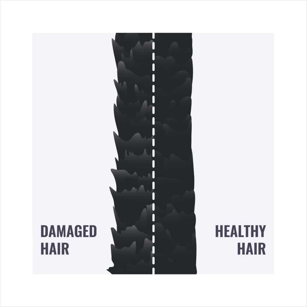 Soap vs Syndet Shampoo Bars: Why Soap Makes Hair Dry & Tangled