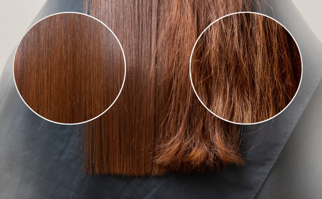 Soap vs Syndet Shampoo Bars: Why Soap Makes Hair Dry & Tangled